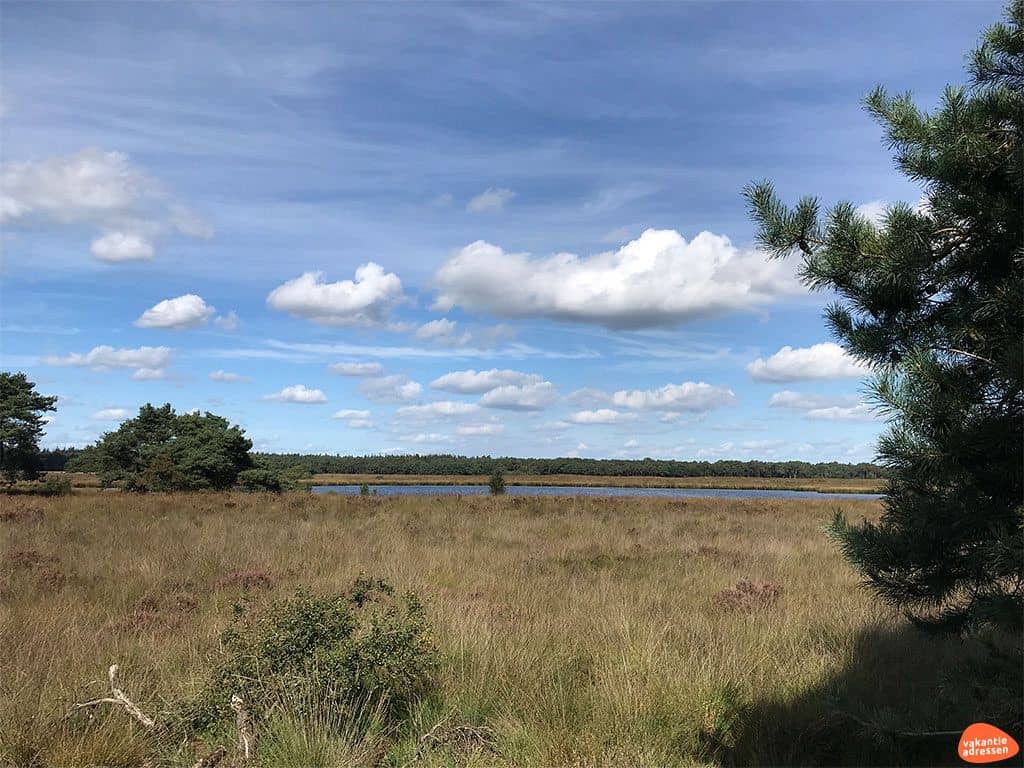 Ruinen - Gemeente De Wolden
